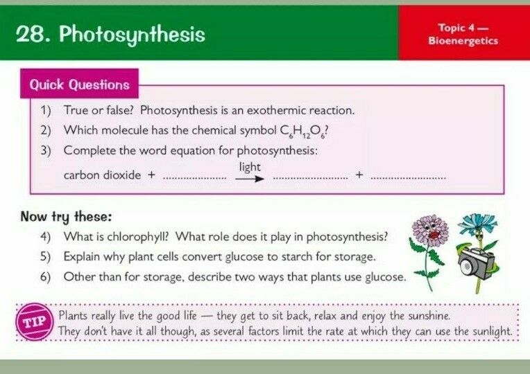 GCSE AQA CGP Combined Science Revision Flashcard All 3 Question Cards ...